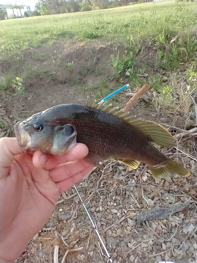 The Great Kansas Fishing Derby is underway for the next two months ...